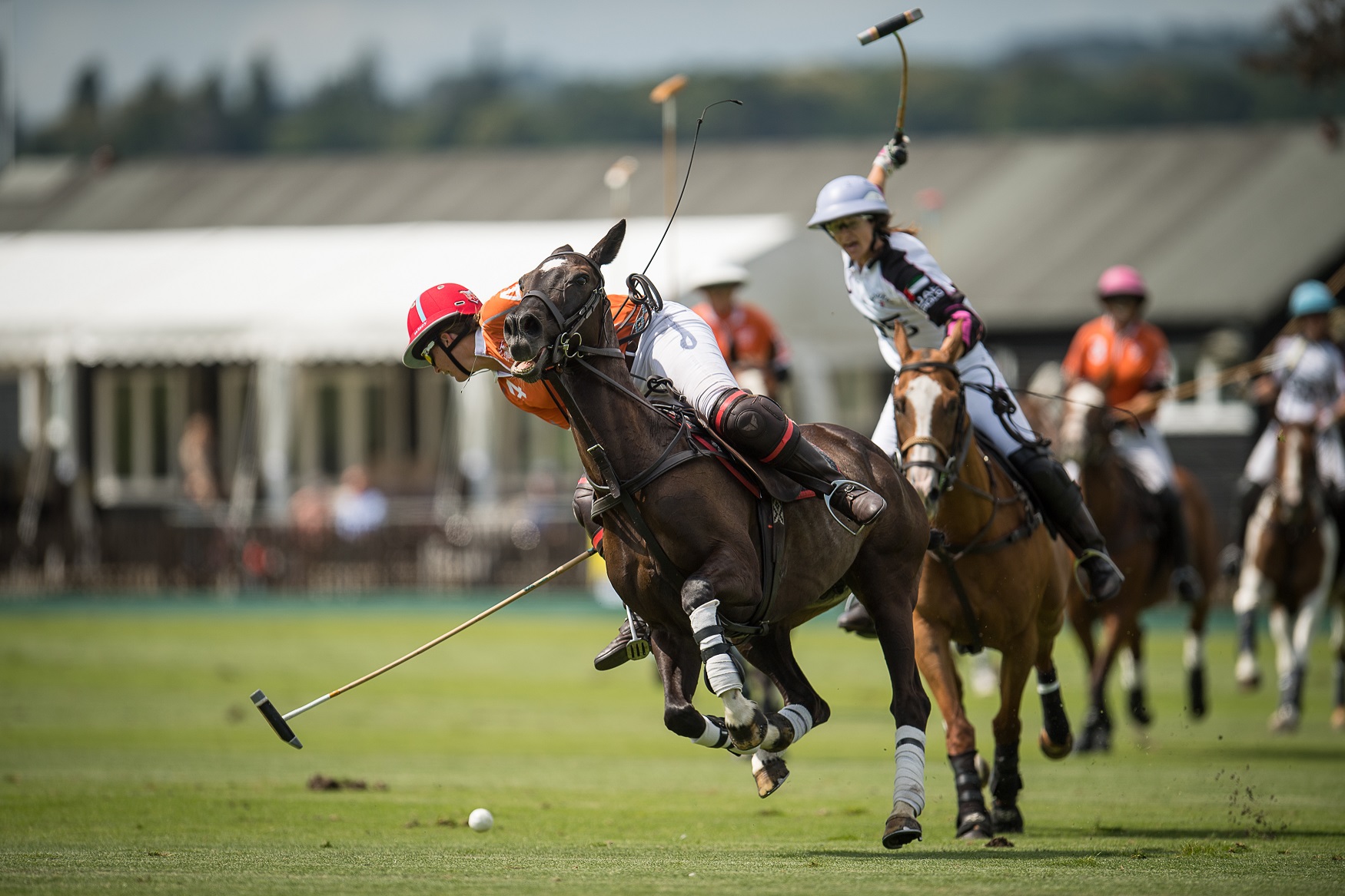 British Ladies Championships at Cowdray Park - POLO+10