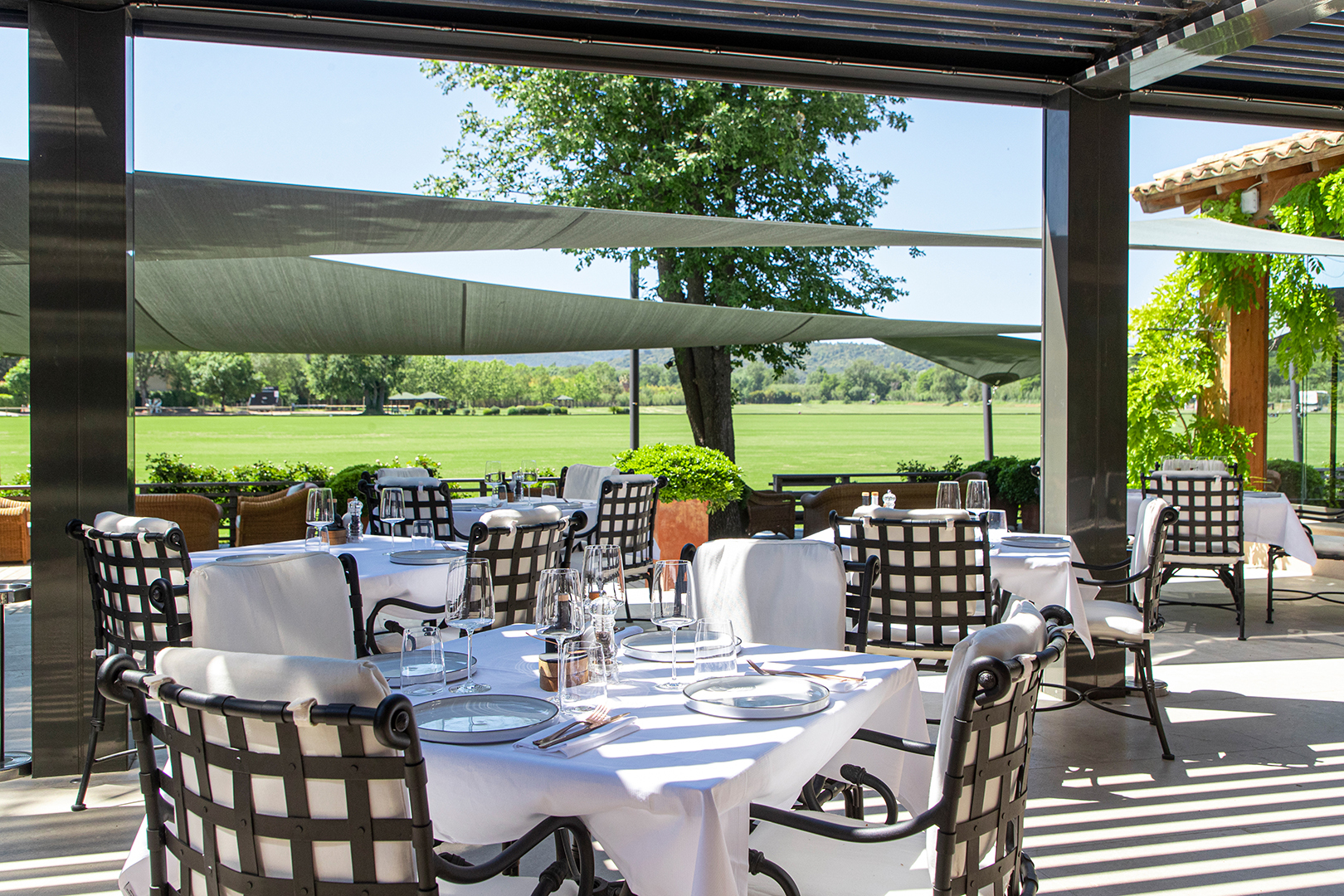 DAIMANI renews VIP Hospitality Experience for the POLO RIDER CUP - POLO+10