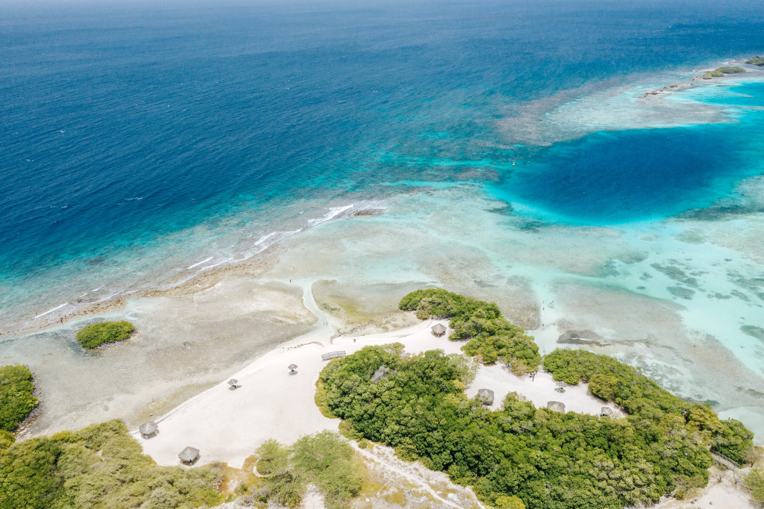 Im Einklang mit der Natur: Umweltbewusste Aktivitäten auf dem One Happy ...