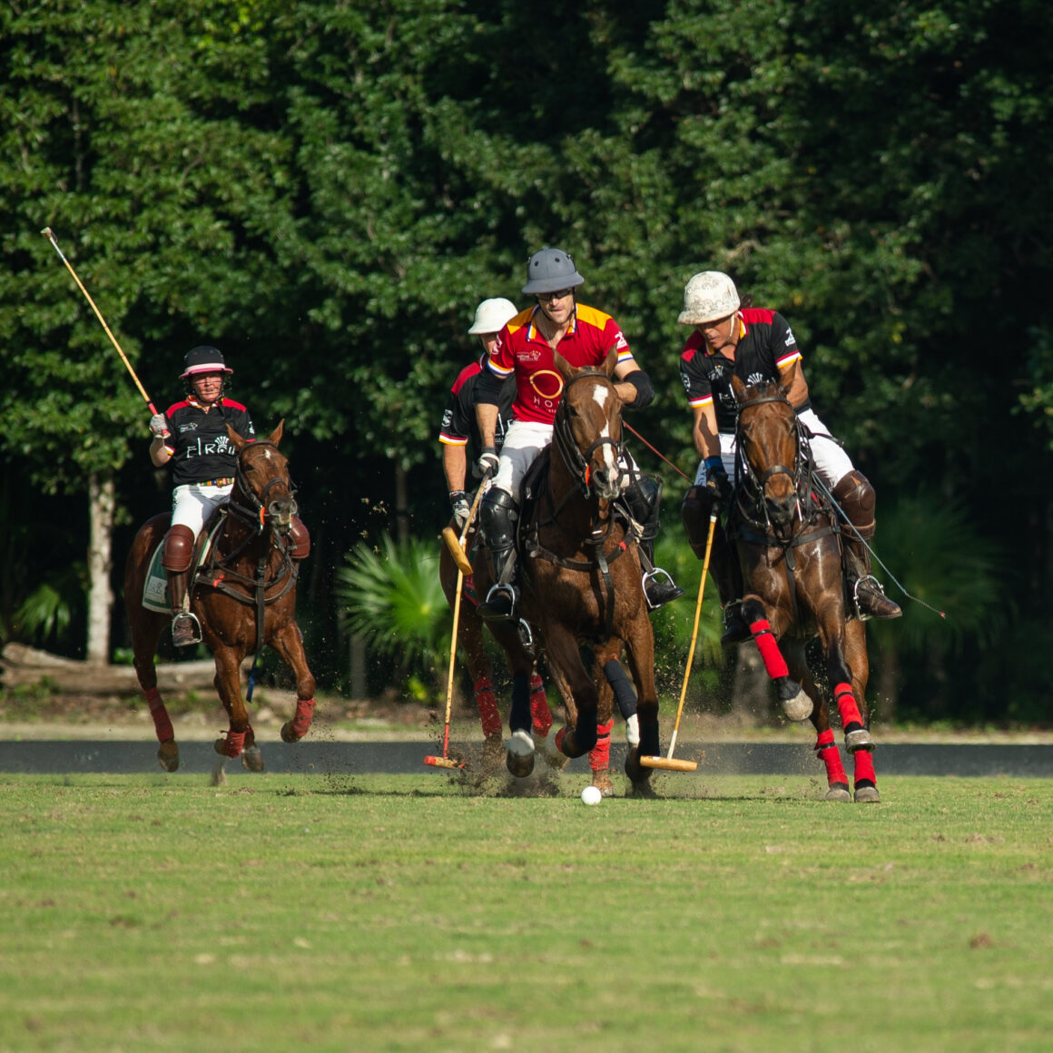 The new premium polo destination in Portugal "The Comporta Polo Club ...
