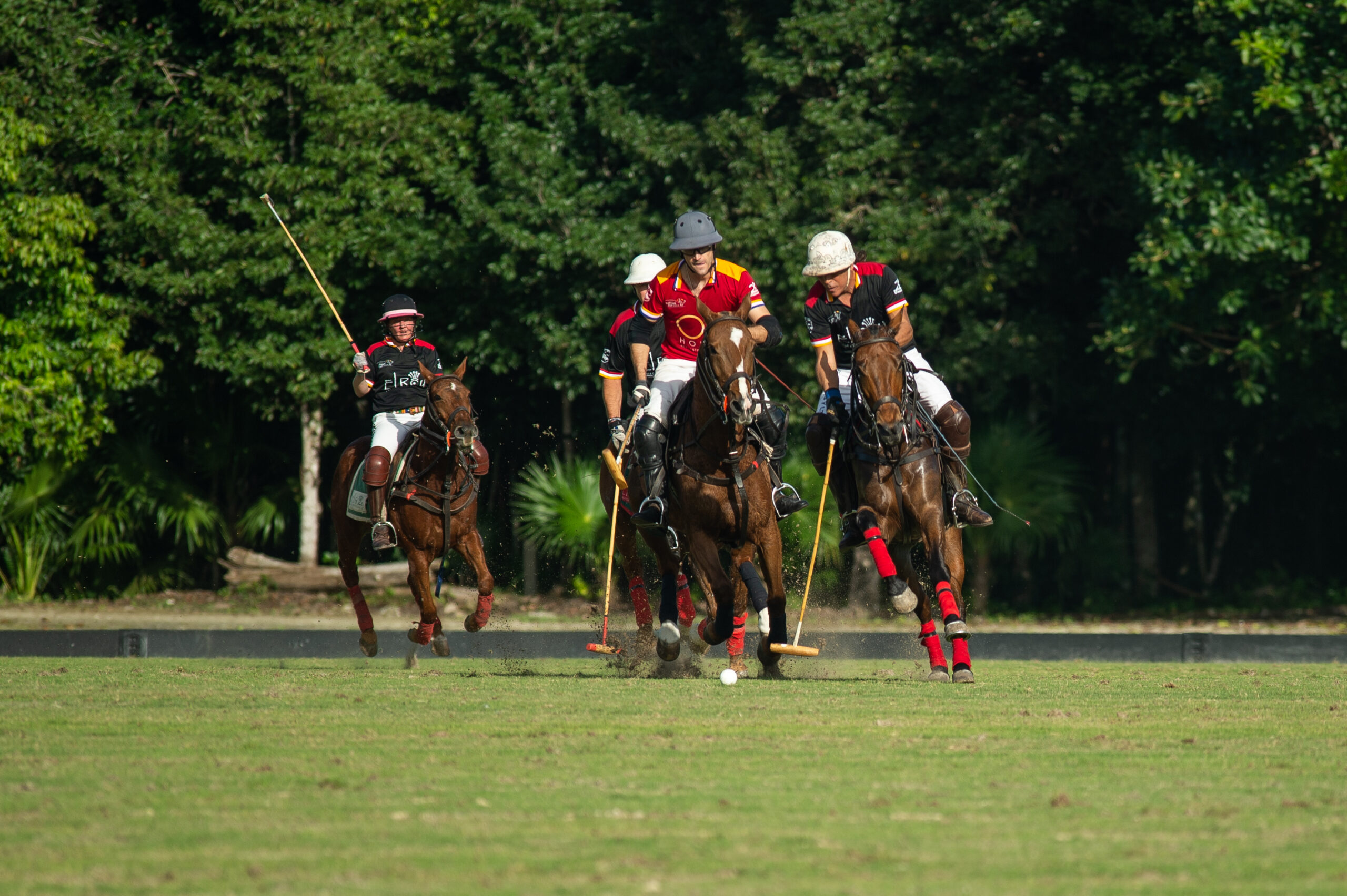 Nations Cup Polo Tournament: A Captivating Fusion of Sport, Elegance ...