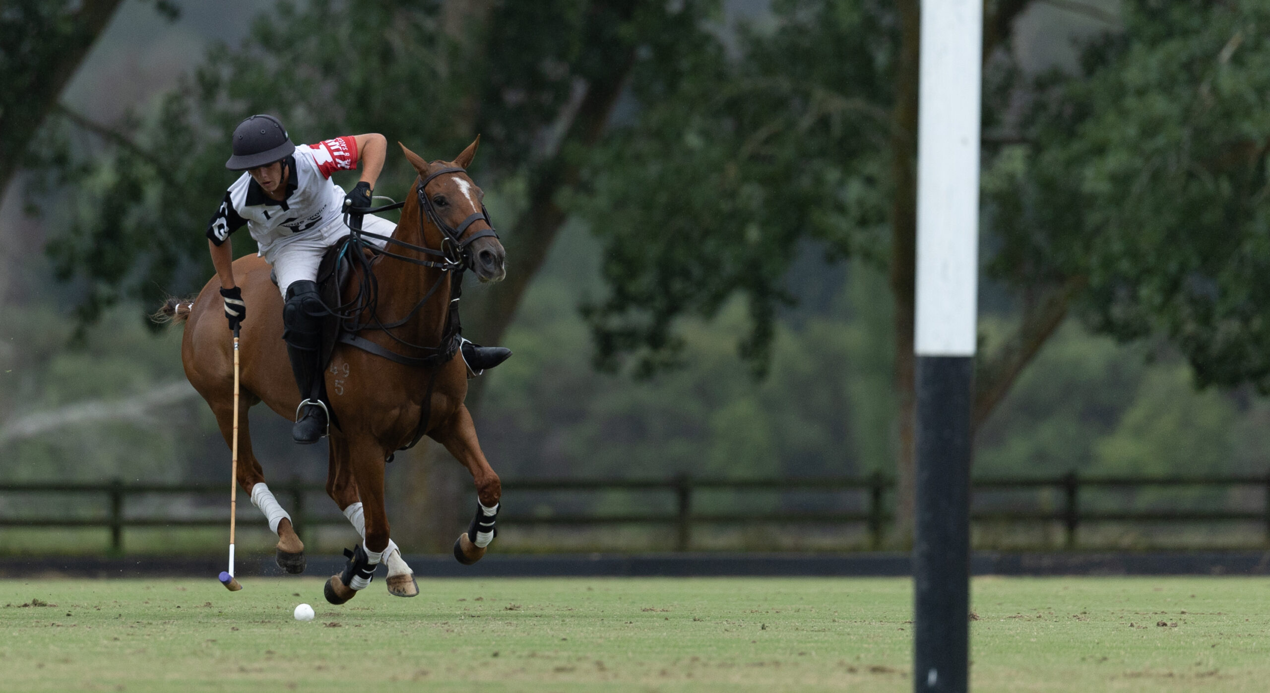Auckland Polo Club to Host New Zealand’s Top Polo Event - POLO+10